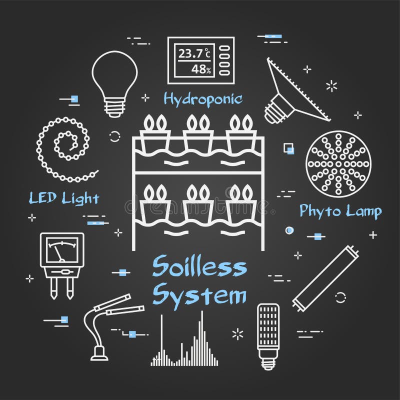 Soilless Stock Illustrations – 886 Soilless Stock Illustrations ...