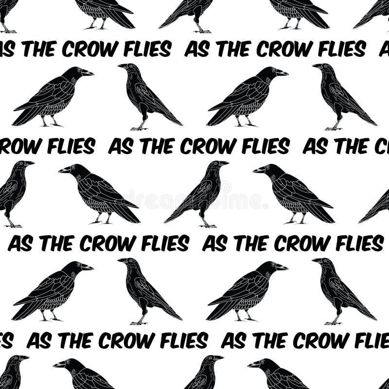 Vector Black Crows Ravens Birds on White Seamless Repeat Pattern Vektor ...