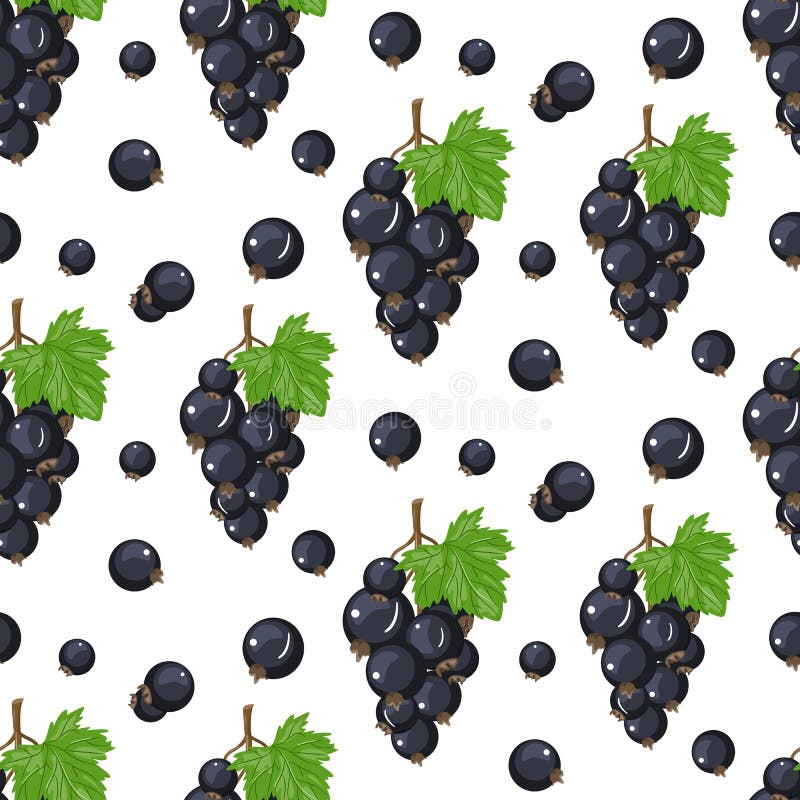 Vector Black Currant Seamless Pattern. Background Design for Tea, Ice ...