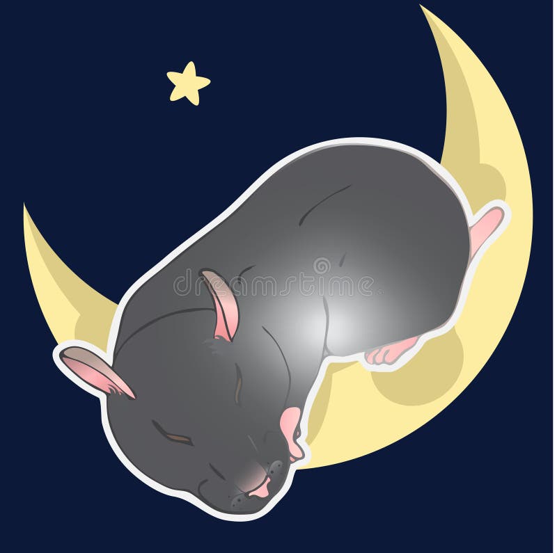 Vector Black Hamster is Sleeping on the Moon Stock Vector ...