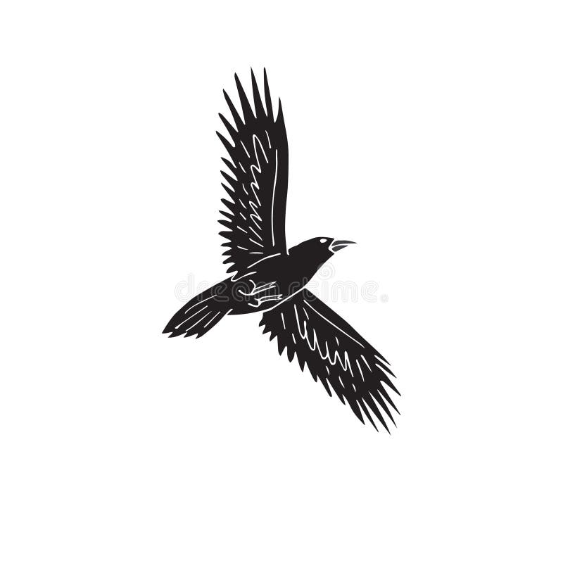 Drawn Flying Raven White Background Stock Illustrations – 378 Drawn ...