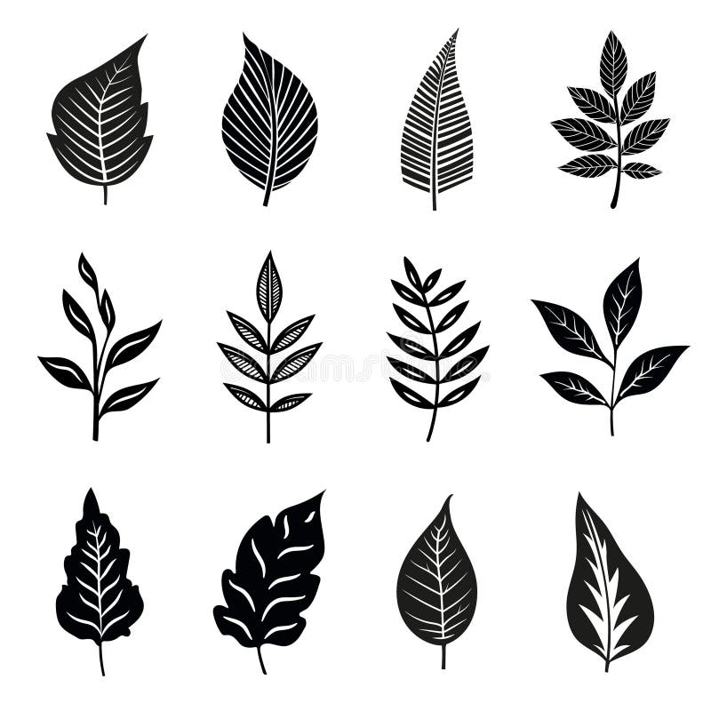 Vector Black Leaf, Linear Leaves, Cut-out Curt Forms, Silhouette ...