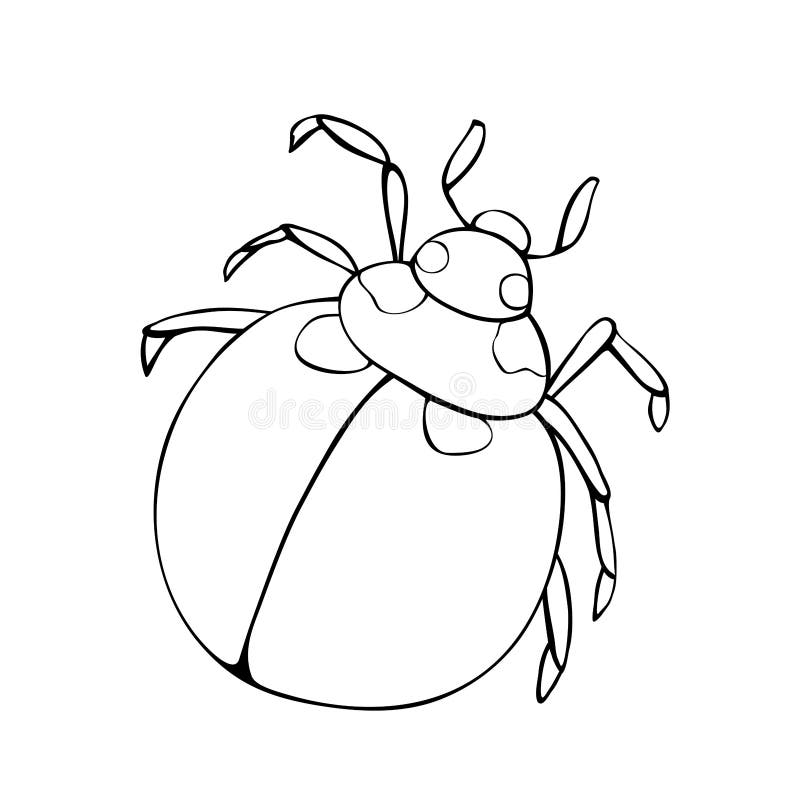 Vector Black Outline Abstract Beetle in Doodle Style. Contoured Bug ...