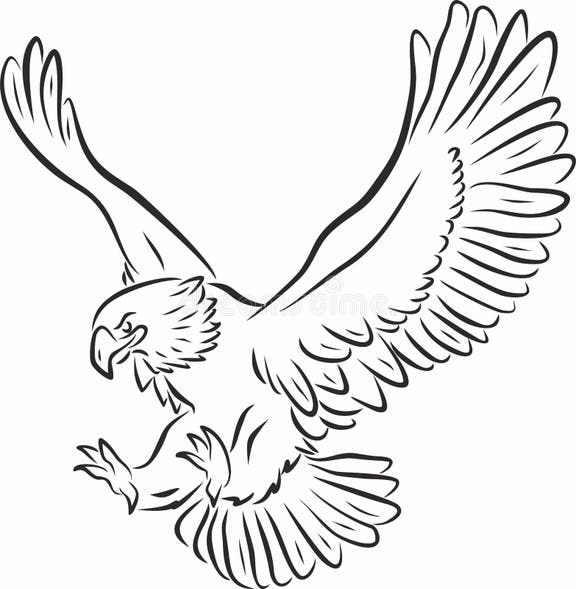 Vector Black Outline of an Attacking Eagle. Stock Vector - Illustration ...