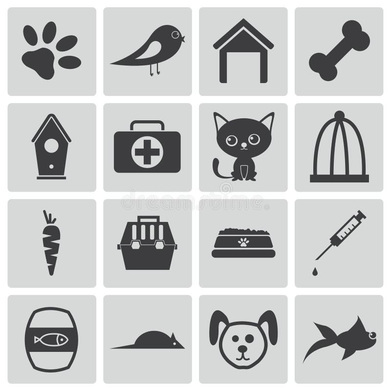 Vector pet icons set stock vector. Illustration of collar - 34988083