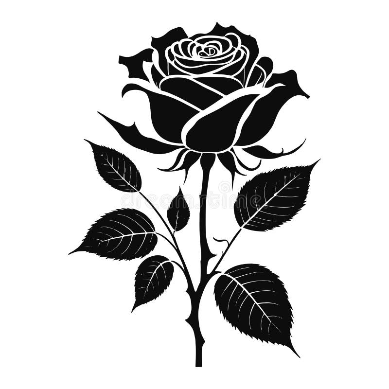 Vector Black Rose. Vector Illustration,flower Stock Vector ...