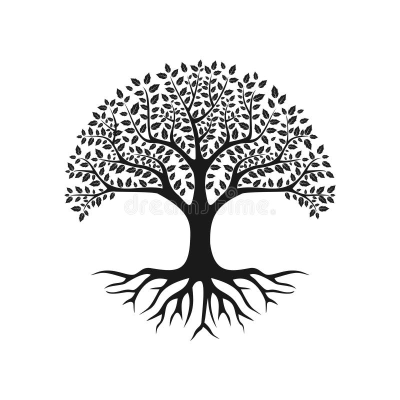 Vector Black Tree of Live Icon on White Background Stock Vector ... Vector Black Tree of Live Icon on White Background Stock Vector ...