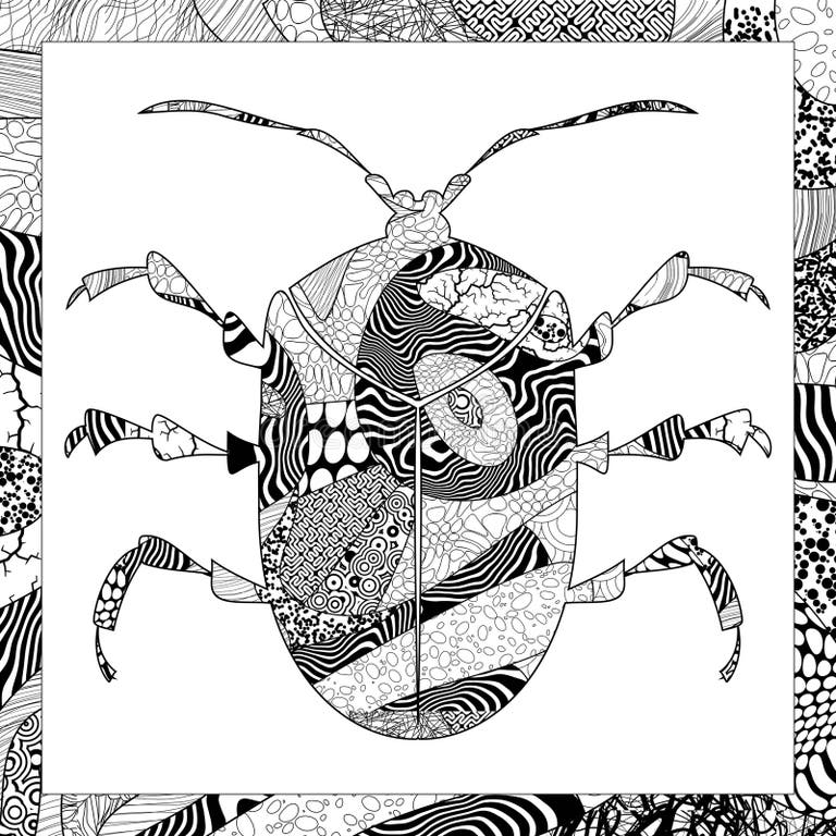 Vector Black and White Beetle Illustration Stock Vector - Illustration ...