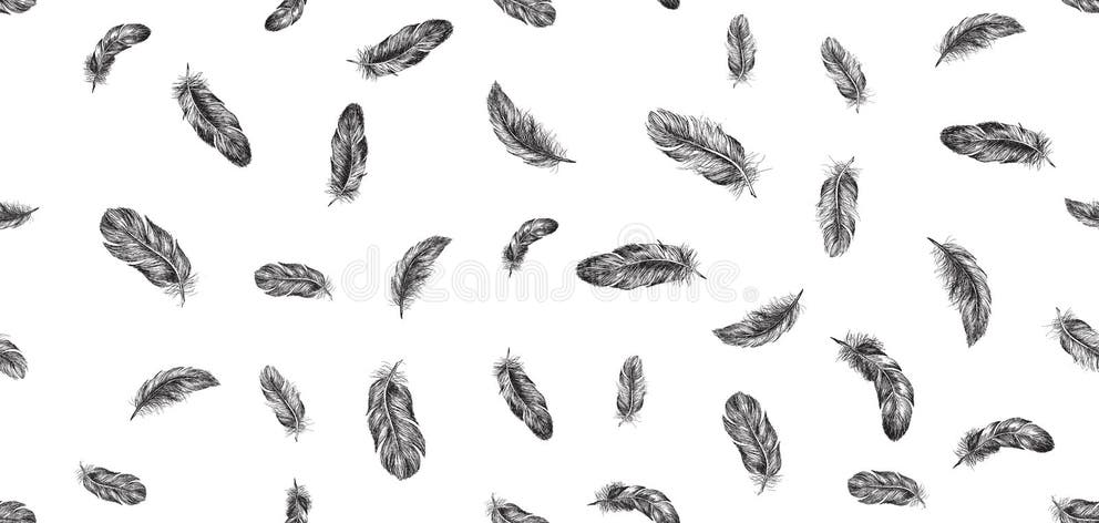 Vector Black and White Feather Pattern Stock Vector - Illustration of ...