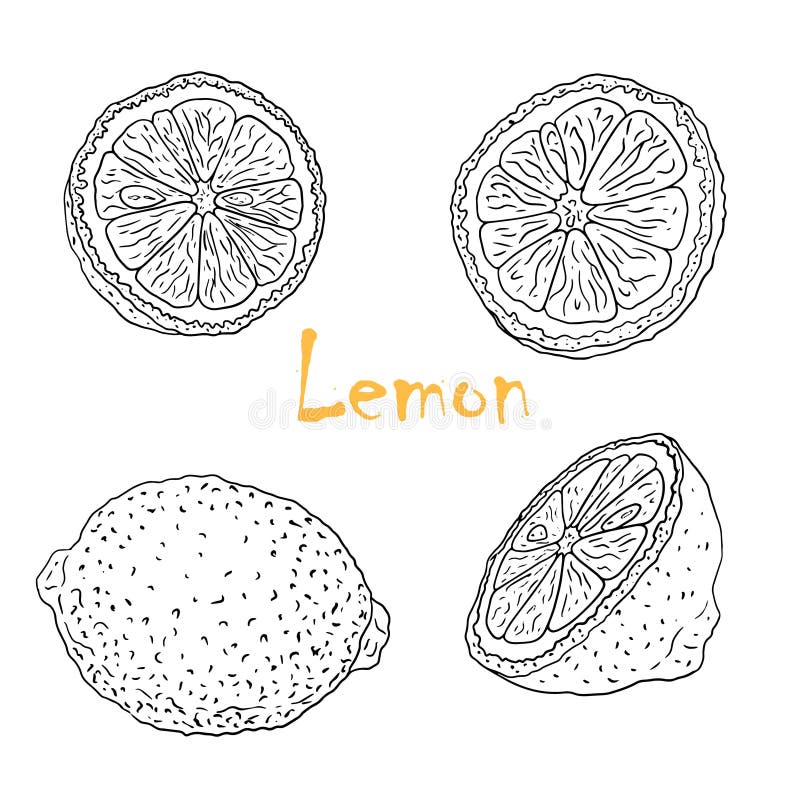 Half Slice Lemon Black Outline Stock Illustrations – 760 Half Slice ...