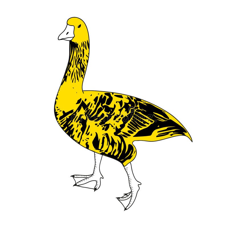 Yellow Goose stock illustration. Illustration of contour - 1967006