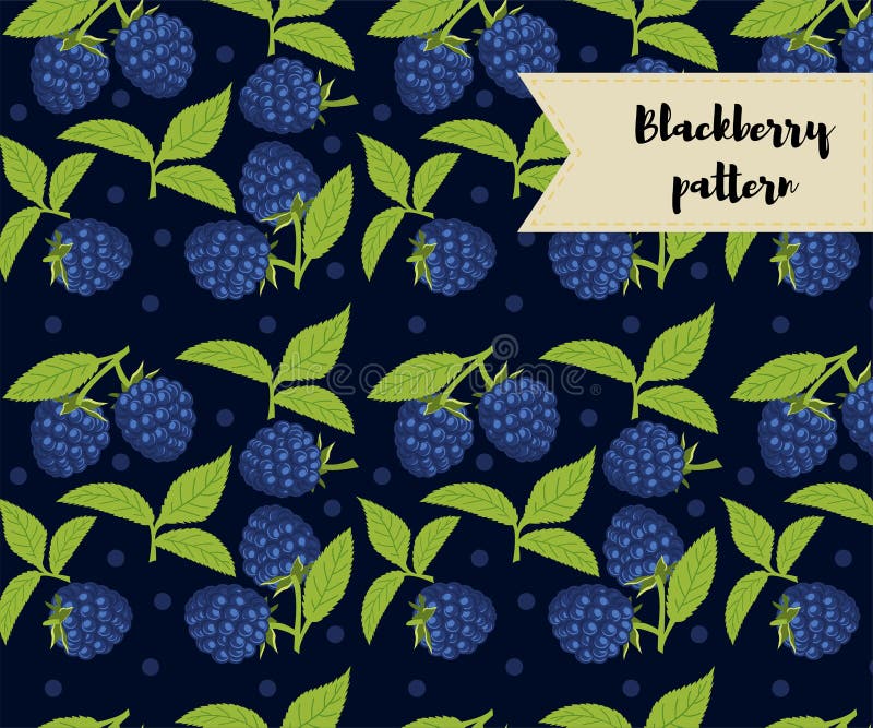 Blackberry Seamless Pattern. Vector Doodle Berry Design for Wallpaper ...