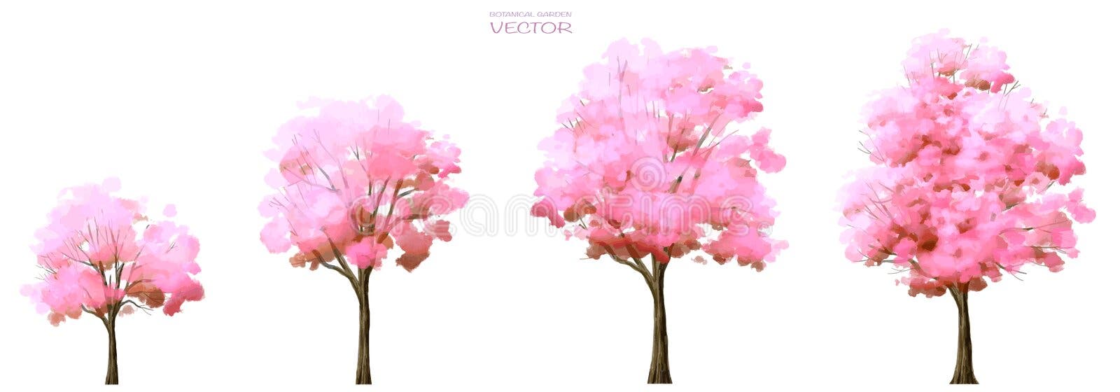 Vector Set of Flower Tree Side View Isolated on White Background for ...