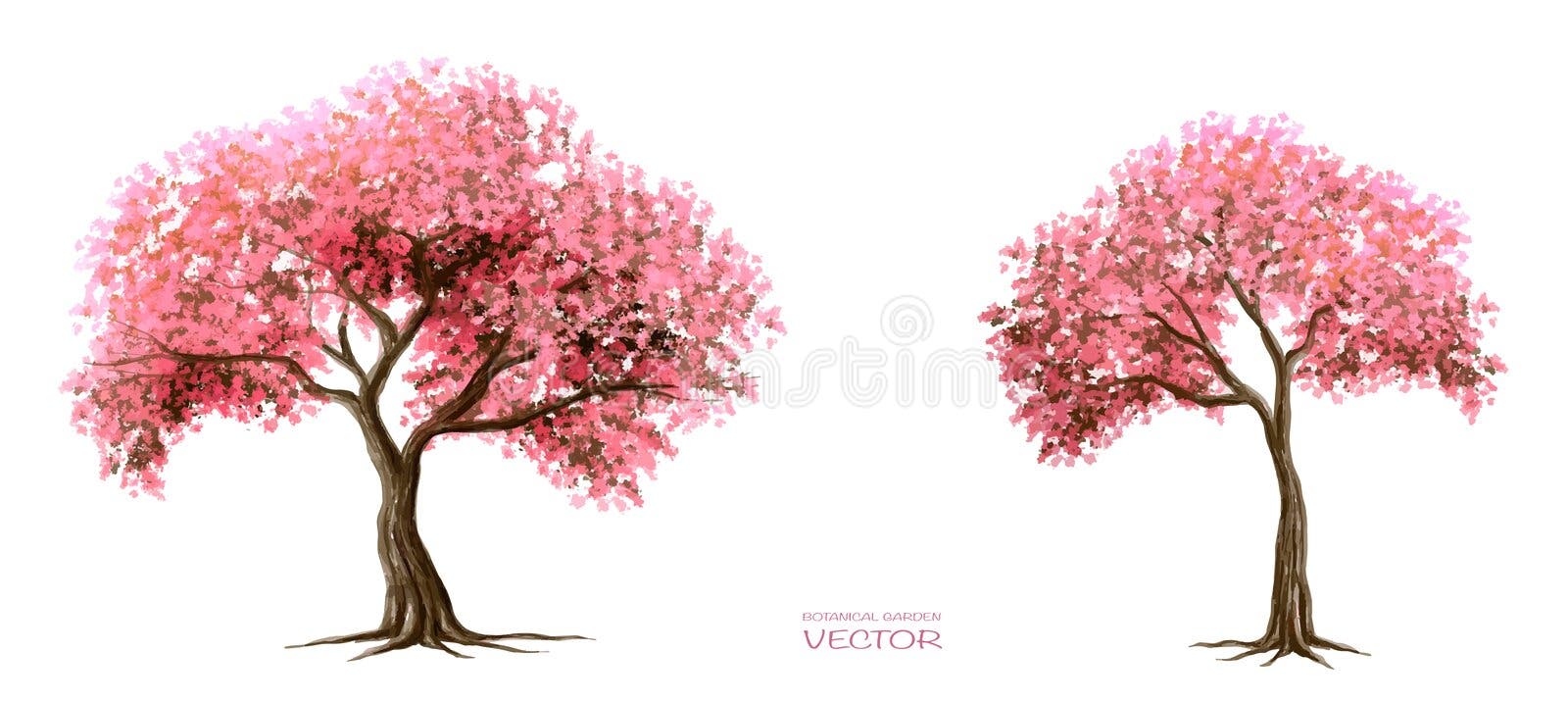 Vector Set of Flower Tree Top View Isolated on White Background for ...