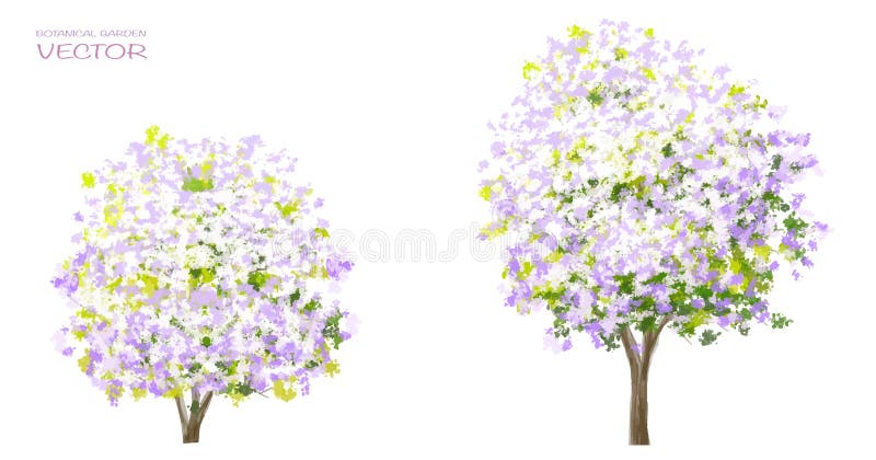 Vector Blooming Flower,tree or Forest Side View Isolated on White ...