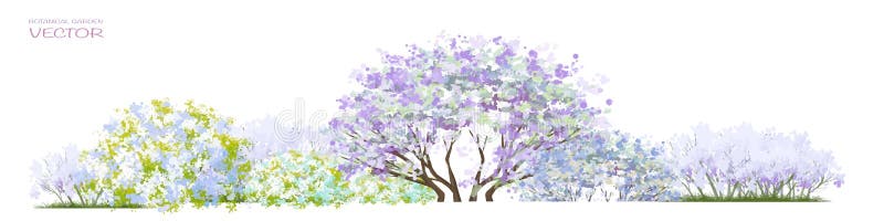 Vector Blooming Flower,tree or Forest Side View Isolated on White ...