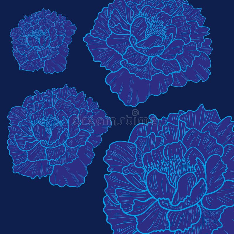 Vector Blue Background with Beautiful Peonies Stock Vector ...
