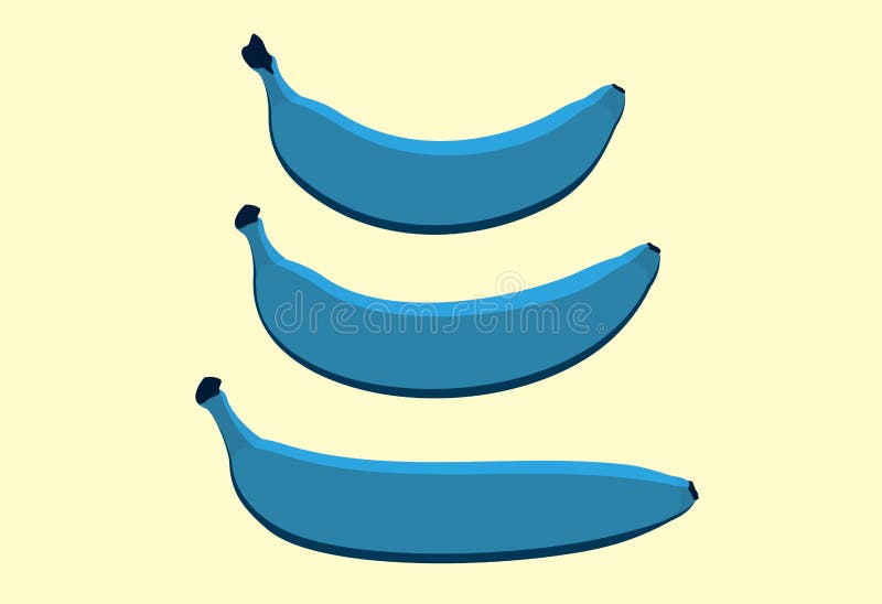 Vector Blue Java Bananas of Different Shapes. Three Ripe Bananas Drawn ...