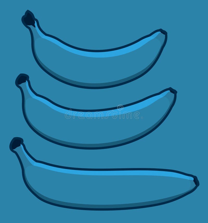 Vector Blue Java Bananas of Different Shapes. Three Ripe Bananas Drawn ...