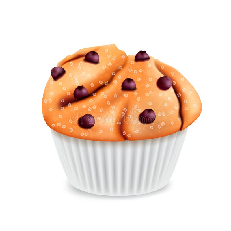 Blueberry Muffin Recipe Stock Vector Illustration Of Bake 34133109