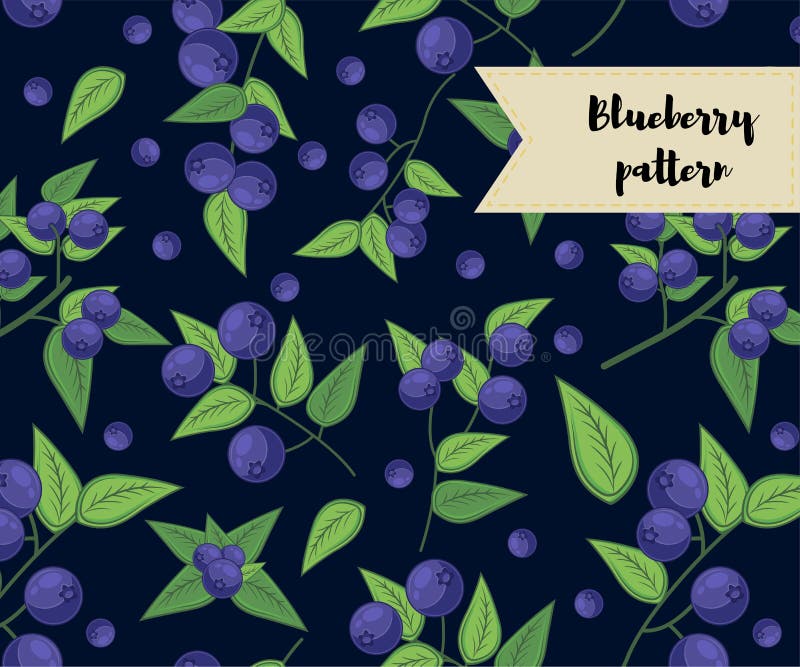 Vector Blueberry Seamless Pattern. Background, Pattern, Fabric Design ...