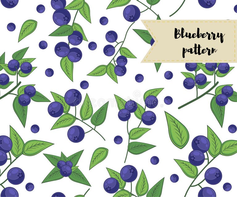Vector Blueberry Seamless Pattern. Background, Pattern, Fabric Design ...
