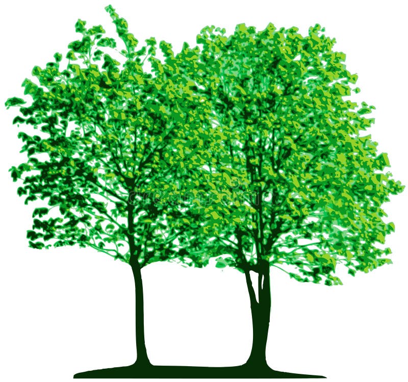 Vector bomen vector illustratie. Illustratie bestaande uit elementen ...