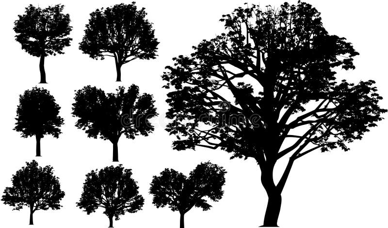 Vector bomen vector illustratie. Illustration of tuin - 8174835