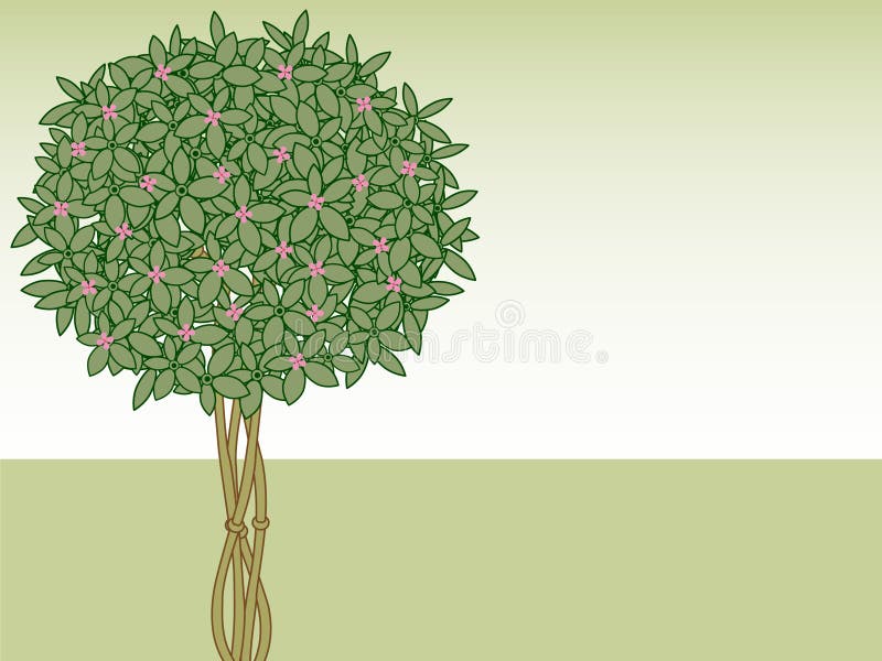 Vector boom vector illustratie. Illustration of boom, ontwerp - 9583664