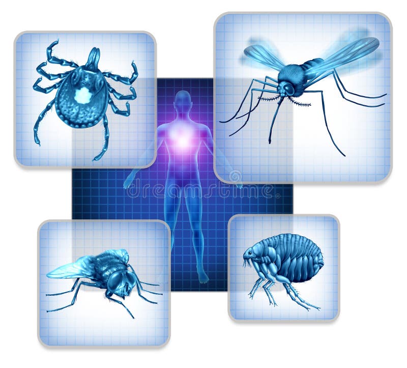 Vector Borne Disease stock image. Image of animals, insecticide - 324394531