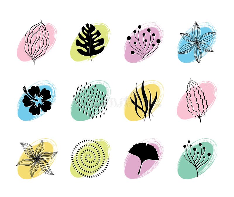 Vector Botanical and Organic Design Elements Set Stock Vector ...