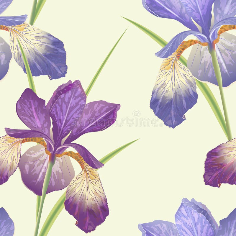 Vector Botanical Seamless Pattern with Iris Flowers. Stock Illustration ...