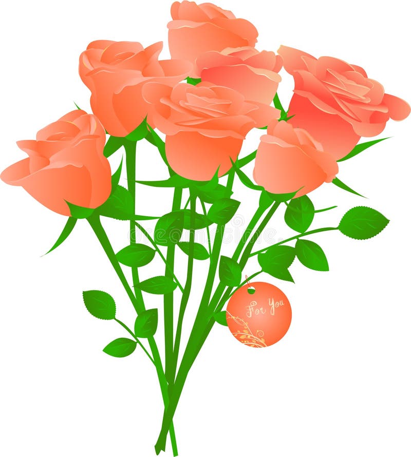 Orange roses set stock vector. Illustration of modern - 12594573