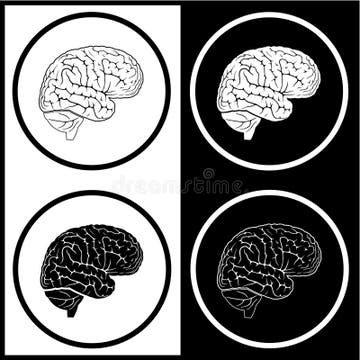 Brain Border Stock Illustrations – 2,180 Brain Border Stock ...