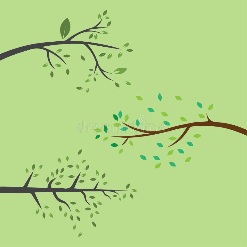 Vector Branch , Hand Drawn Illustration of Tree Branch Design Template ...