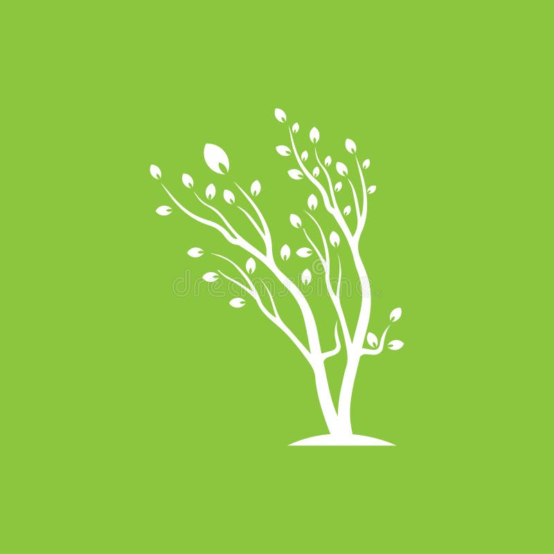 Vector Branch , Hand Drawn Illustration of Tree Branch Design Template ...