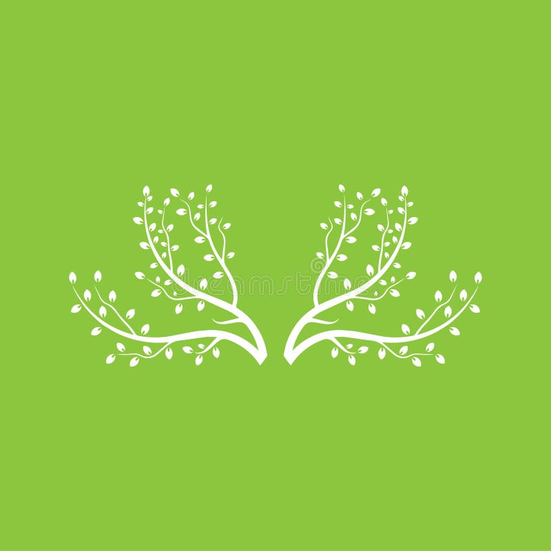 Vector Branch , Hand Drawn Illustration of Tree Branch Design Template ...