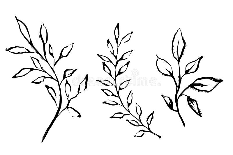 Vector Branches with Leaves in Chinese Ink Calligraphy Style. Vector ...