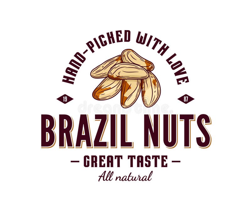 Vector brazil nut logo stock vector. Illustration of logo - 310455727