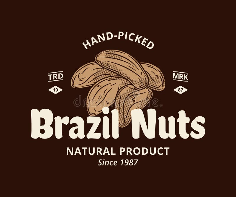 Vector brazil nut logo stock vector. Illustration of cooking - 310455716