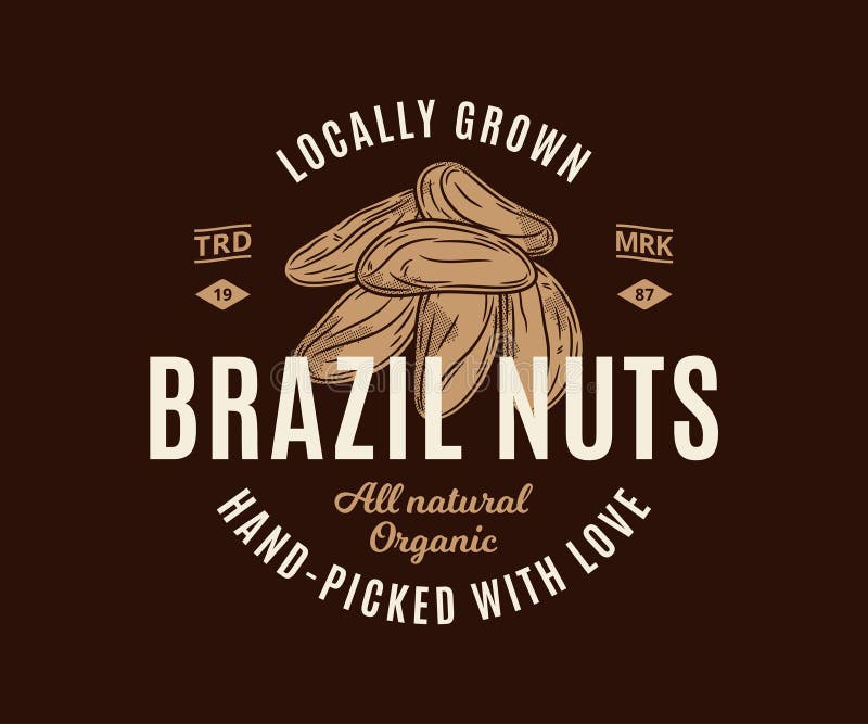 Vector brazil nut logo stock vector. Illustration of packaging - 310455717