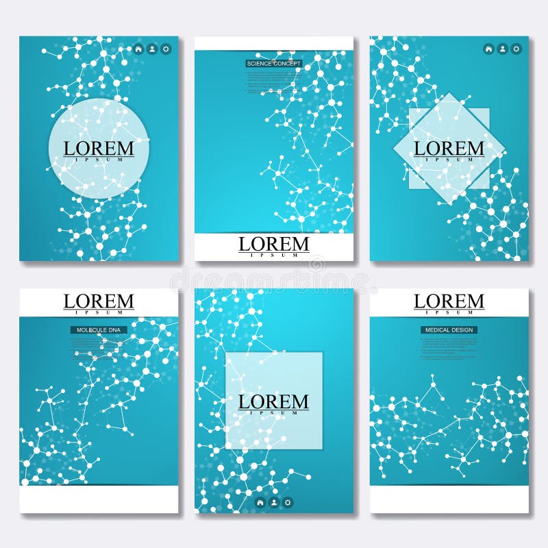 Vector Brochure Template, Flyer, Cover Magazine in A4 Size. Structure ...