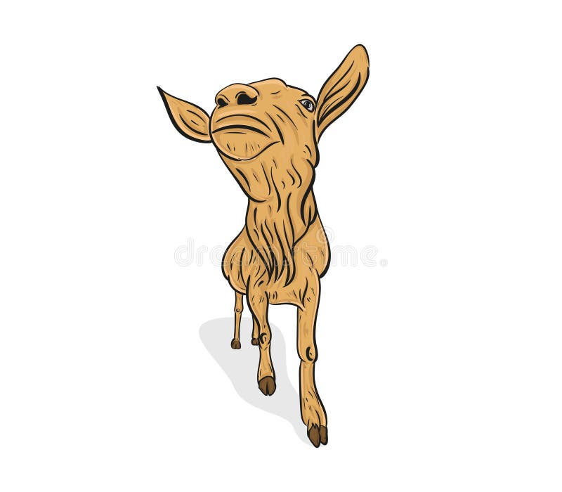 Vector Brown Goat Standing Proudly Stock Illustration - Illustration of ...