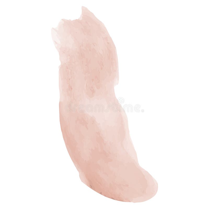 Vector Brush Stroke Watercolor Pink Stock Vector - Illustration of ...