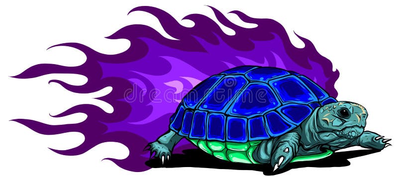 Star tortoise stock vector. Illustration of cute, tortoise - 71022865