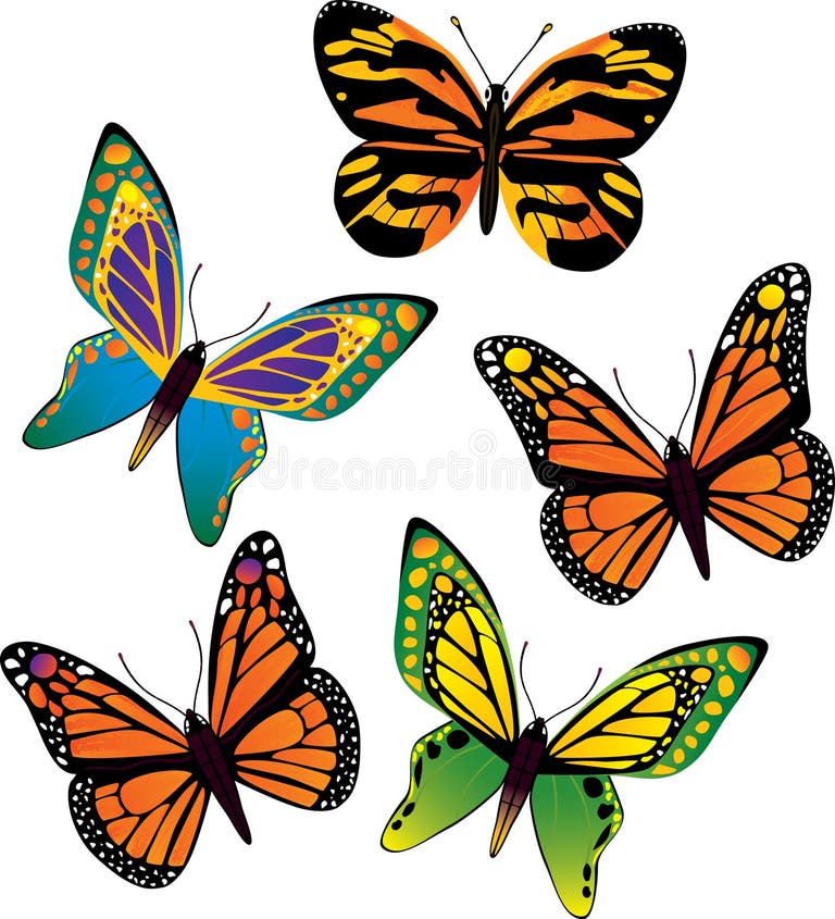 Different Vector Butterflys Stock Illustrations – 12 Different Vector ...