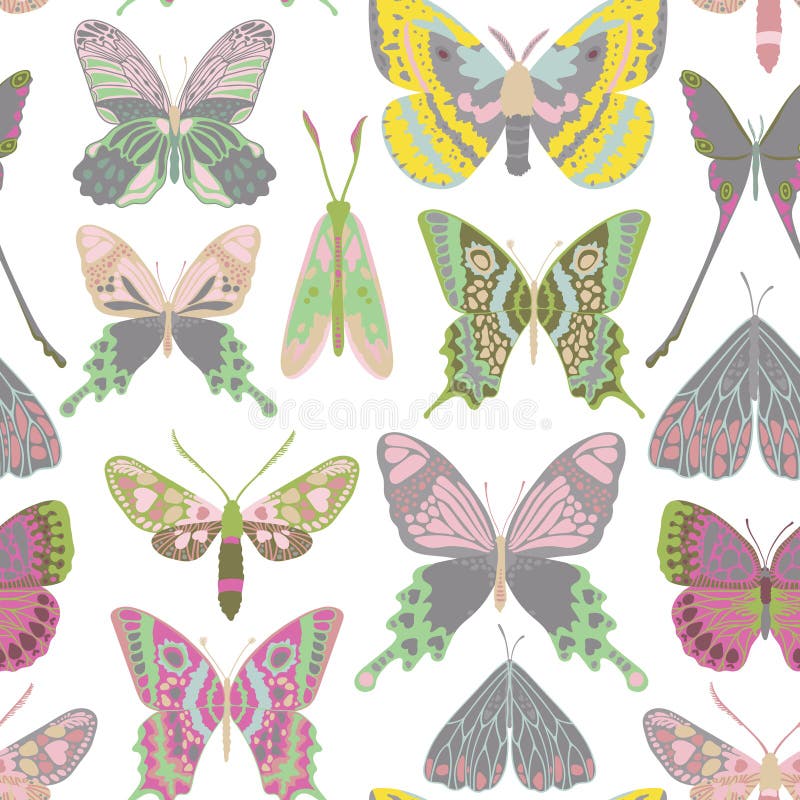 Vector butterfly pattern stock illustration. Illustration of beautiful ...