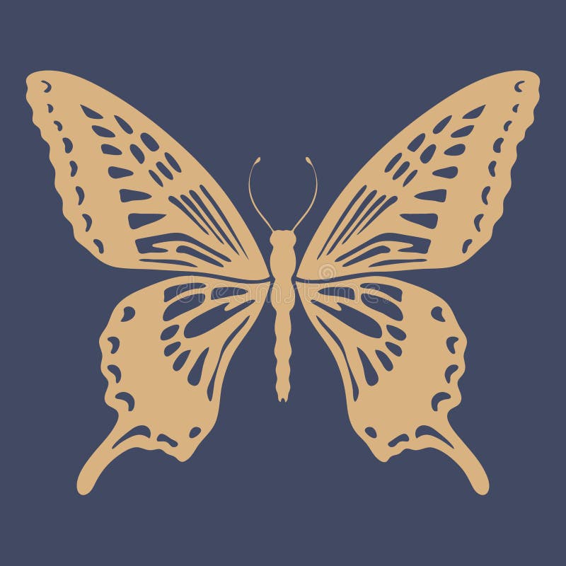 Vector Butterfly Stencil Element. Elegant Insect Ornament Design ...