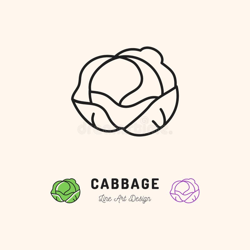 Vector Cabbage Icon Vegetables Logo. Thin Line Art Design Stock Vector ...