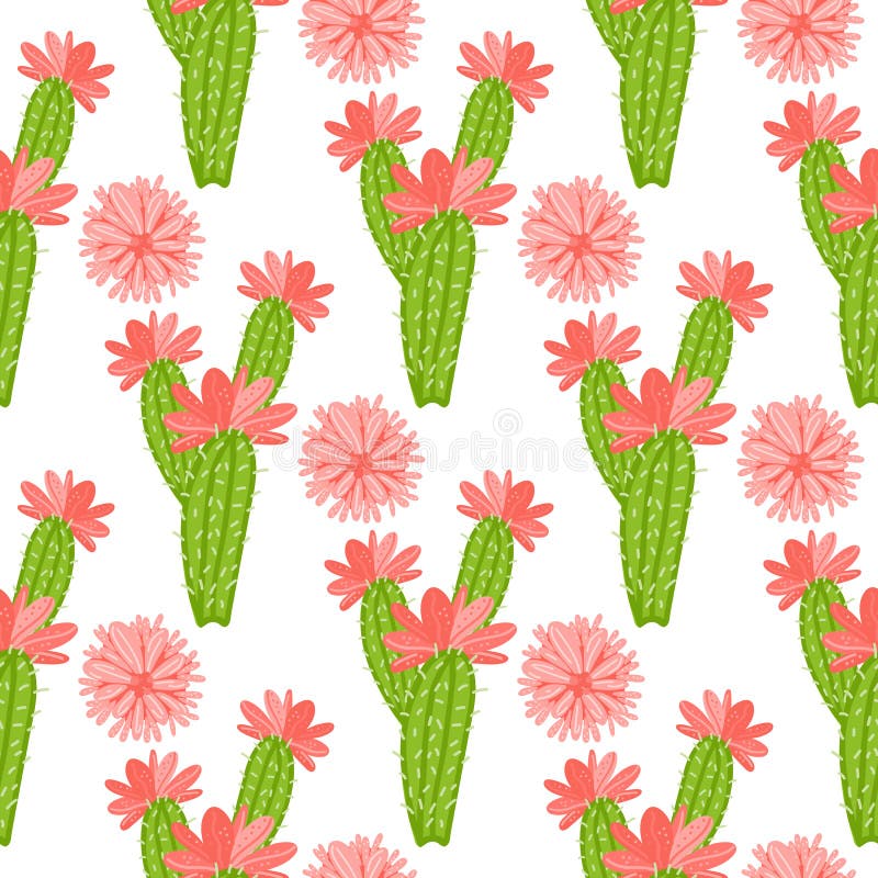 Vector Cactus with Flowers Pattern Isolated on White Background. Stock ...